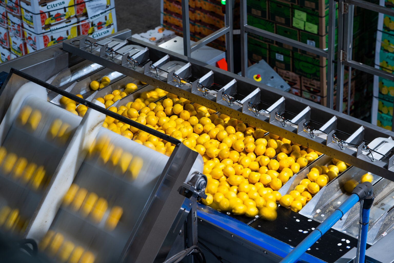 Produce - Americold